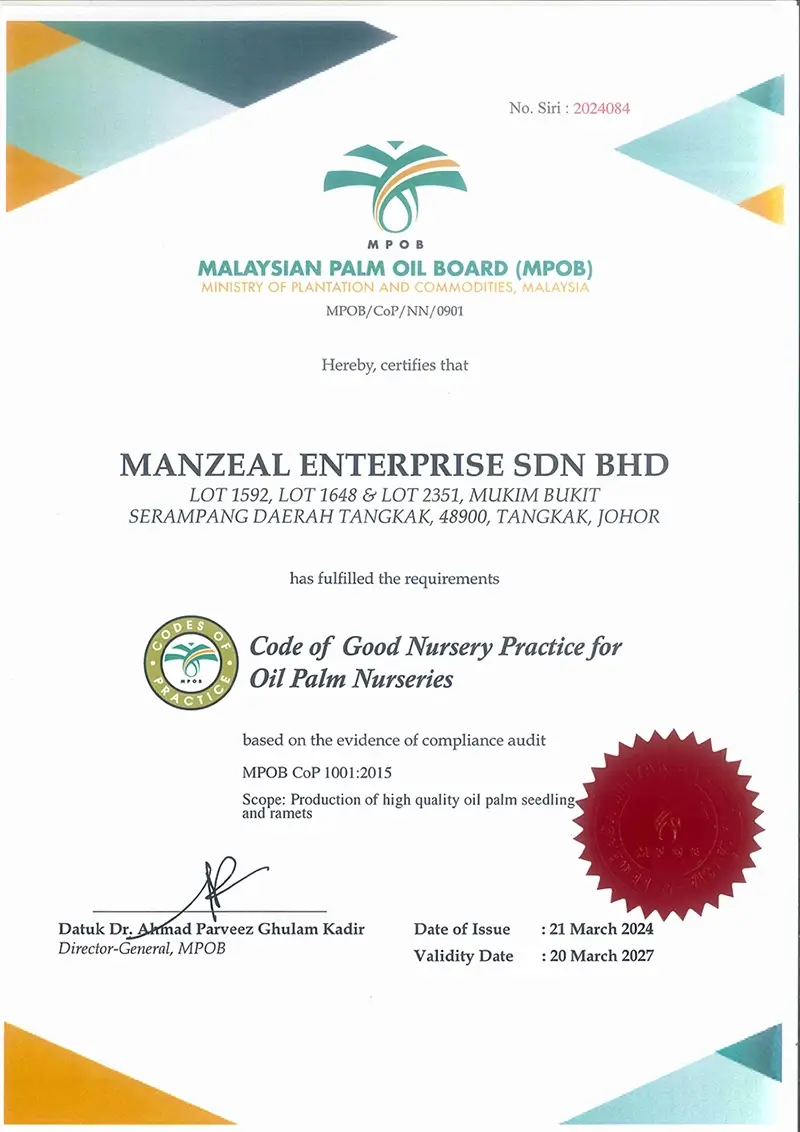 Mengenai kami - Terragreen Nursery